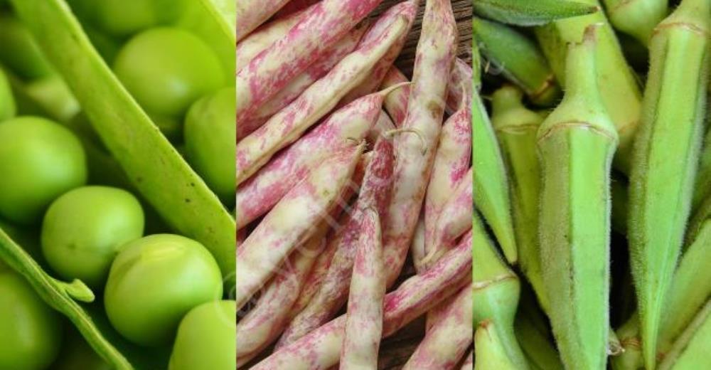 Sebzeler Buzlukta Ne Kadar Süre Saklanır? Hangi Sebze Ne Kadar Dayanır ...